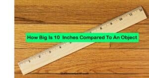 How Big Is 10 Inches Compared to An Object? - Dimension Level