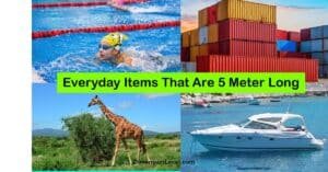 12 Everyday Items That Are 5 Meters Long /Big - Dimension Level