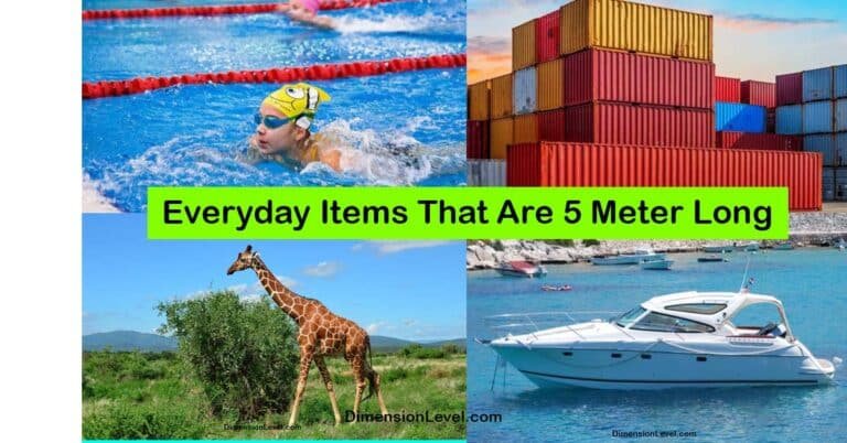 12 Everyday Items That Are 5 Meters Long /Big - Dimension Level