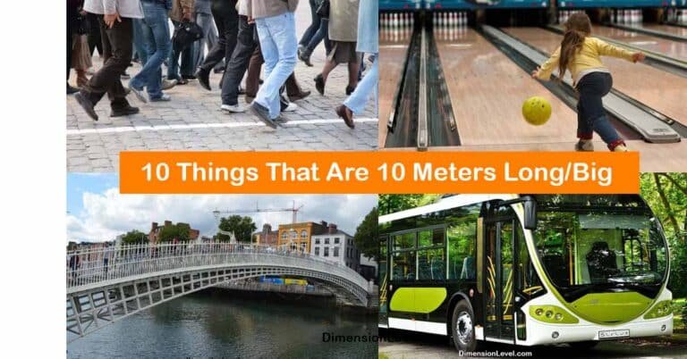 10 Things That Are 10 Meters Long/Big - Dimension Level