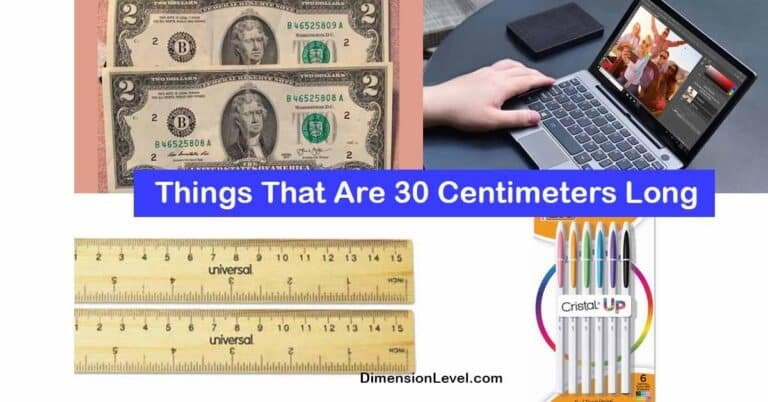 11 Common Things That Are 30 Centimeters Long - Dimension Level