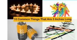 10 Common Things That Are 3 Inches Long - Dimension Level