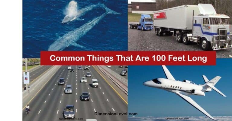 10 Things That Are 100 Feet (ft) Long - Dimension Level