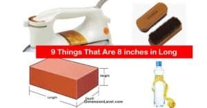 Common Things That Are 8 inches Long - Dimension Level