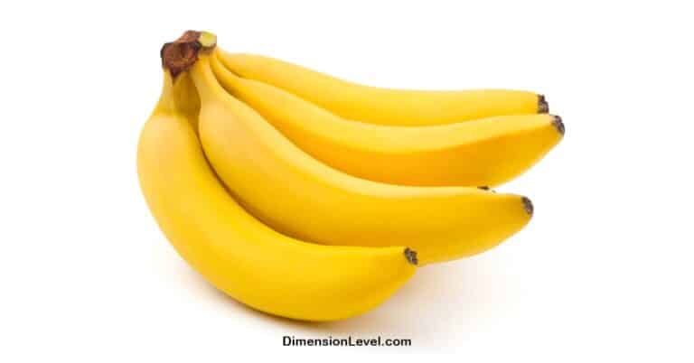 15 Common Things That Are 7 Inches Long - Dimension Level