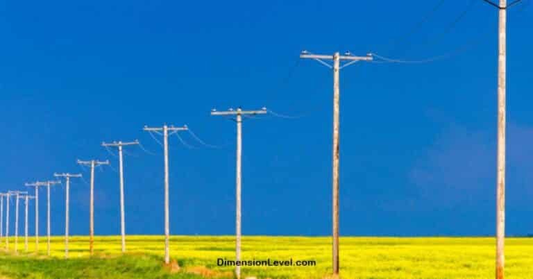 12 Everyday Items That Are 5 Meters Long /Big - Dimension Level