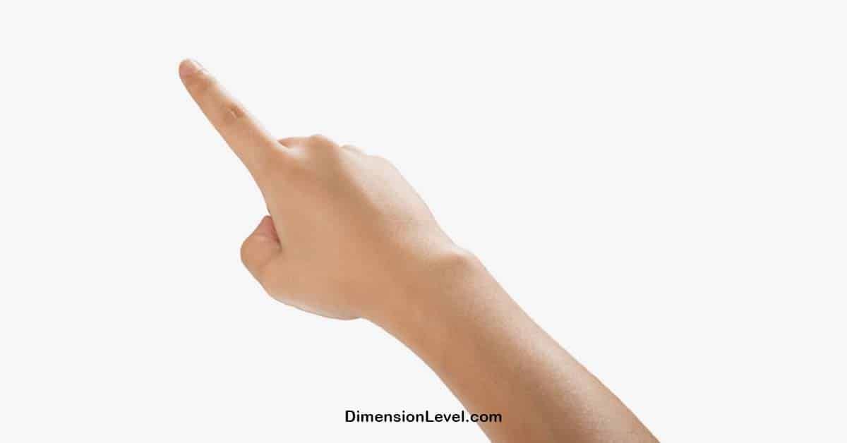 10 Common Things That Are 3 Inches Long - Dimension Level