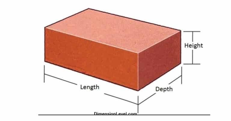 Common Things That Are 8 inches Long - Dimension Level