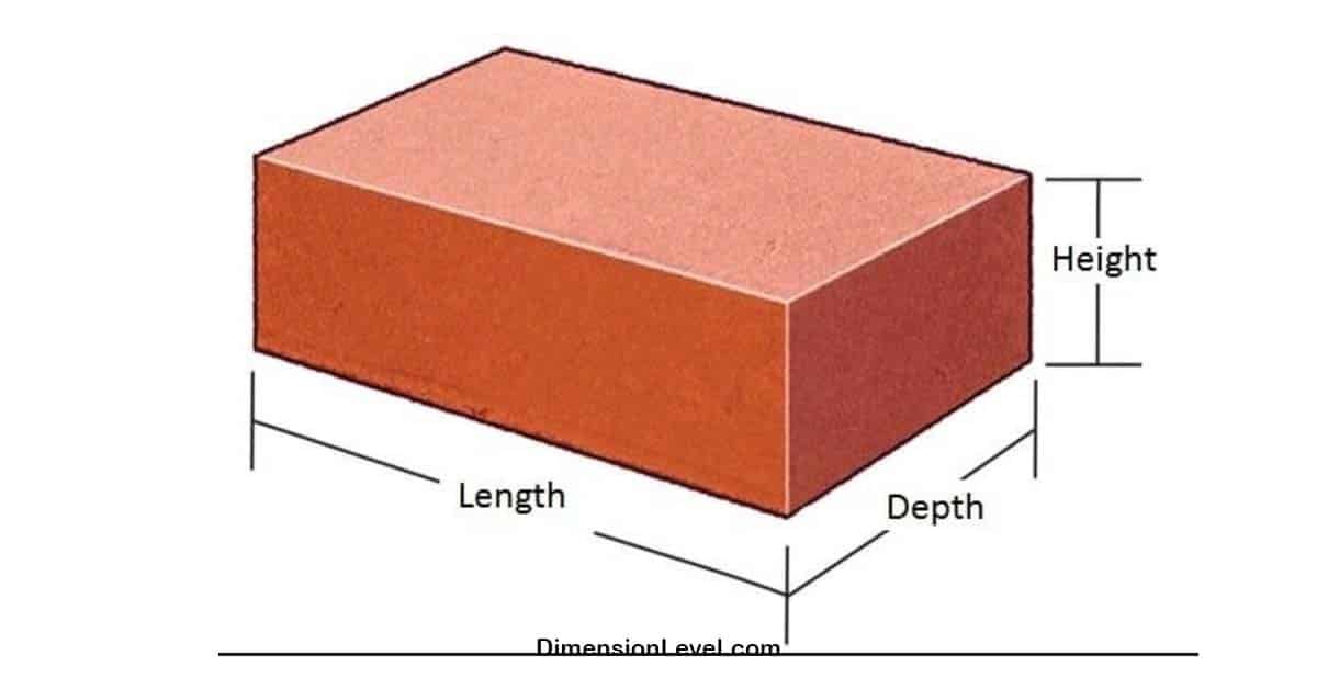 Common Things That Are 8 inches Long - Dimension Level
