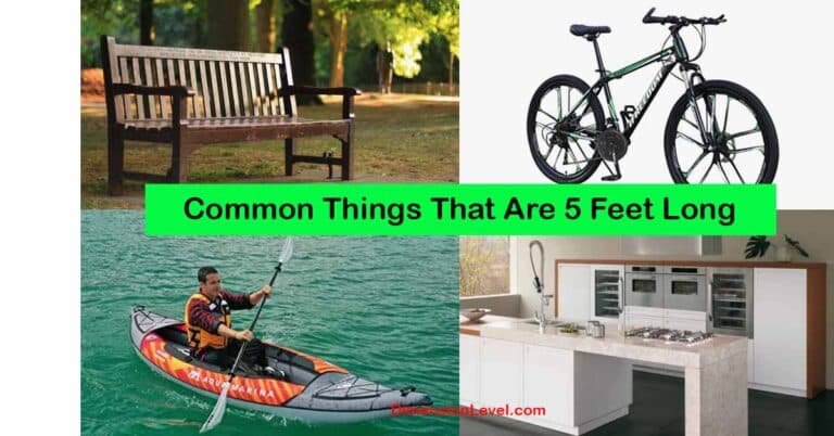 11 Everyday Items That Are 5 Feet Long - Dimension Level