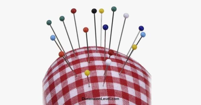 11 Common Things That Are 1 Inch Long - Dimension Level