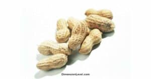 11 Common Things That Are 1 Inch Long - Dimension Level